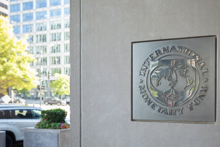 IMF: UAE competent in opening its economy while protecting citizens ...