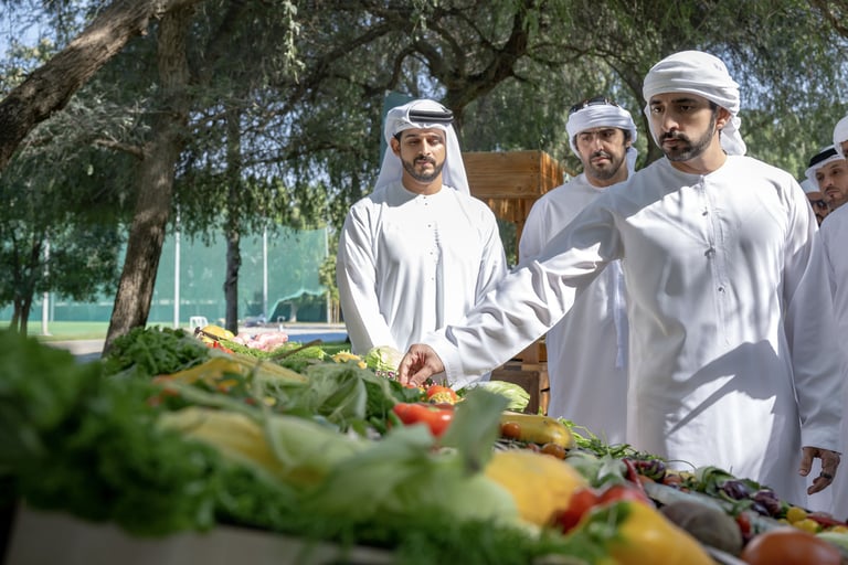 UAE's 'Plant the Emirates' program to advance agriculture development ...