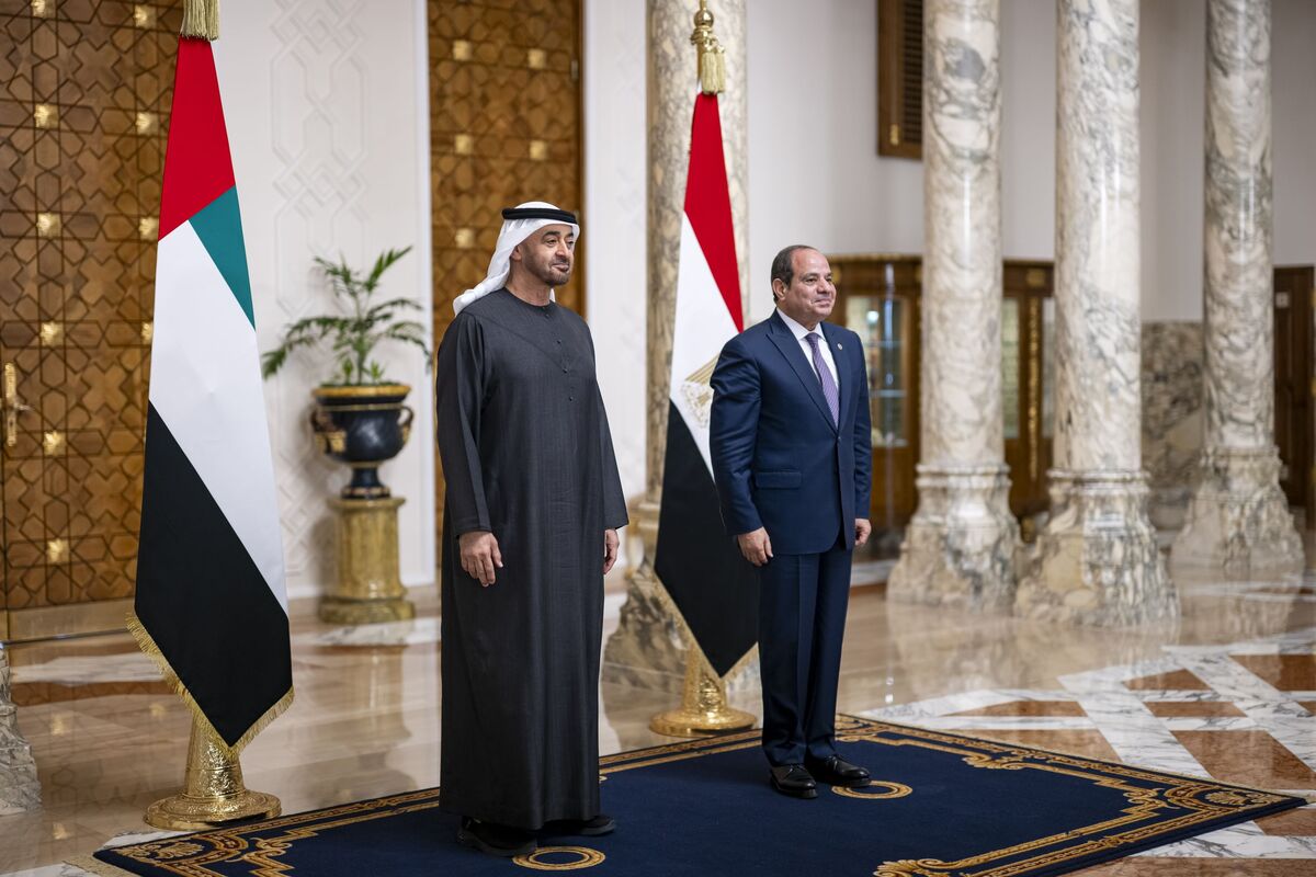 UAE, Egyptian Presidents discuss expanding bilateral cooperation to ...