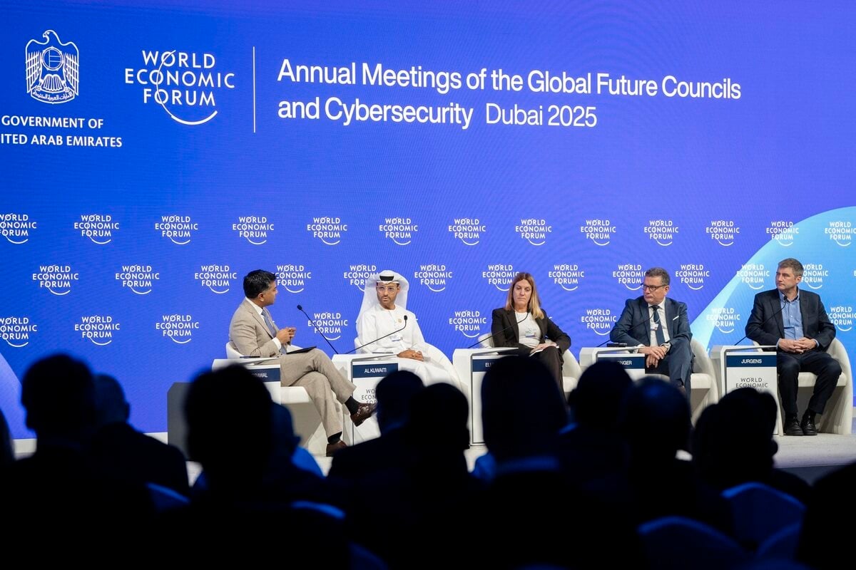 Global Future Councils and Cybersecurity 2025 conclude amid wide ...