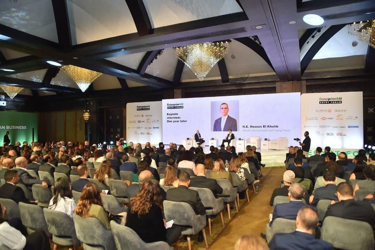 Egypt aims for 20 to 30 percent increase in FDI to reach $12 billion by ...