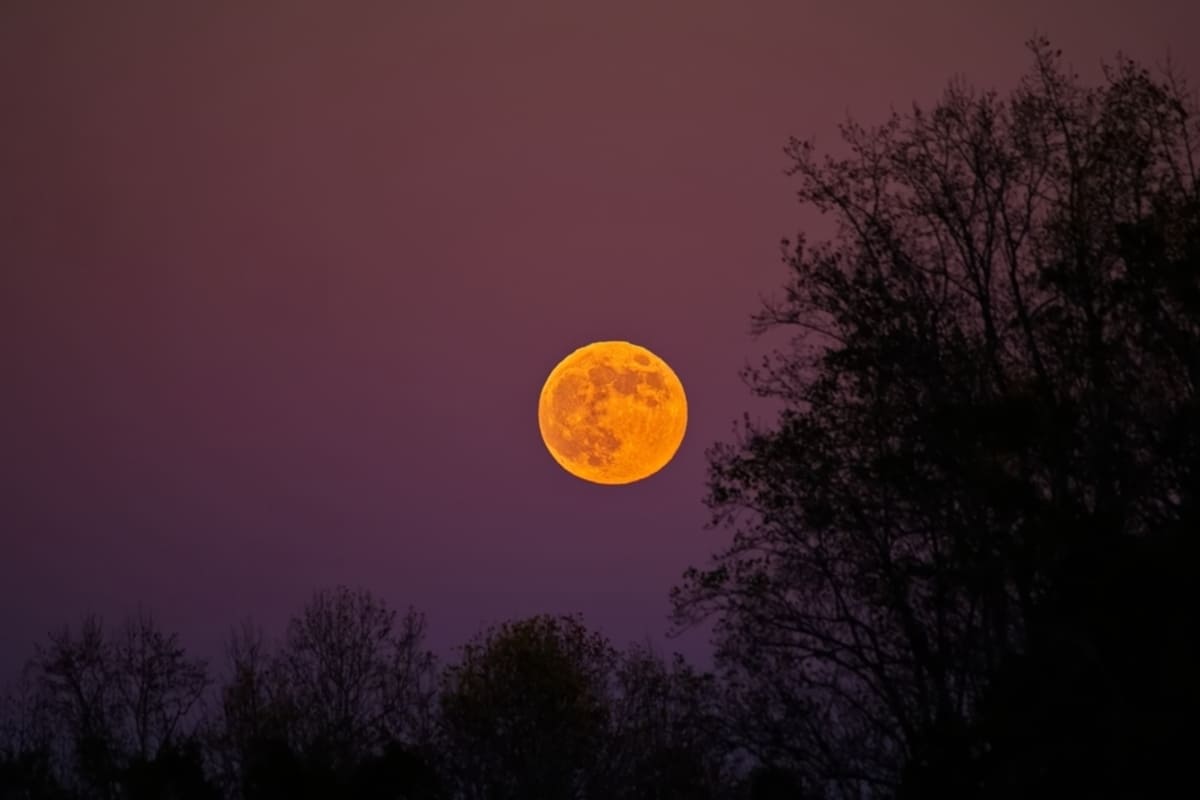 November Beaver supermoon: How and when to see the biggest full moon of ...