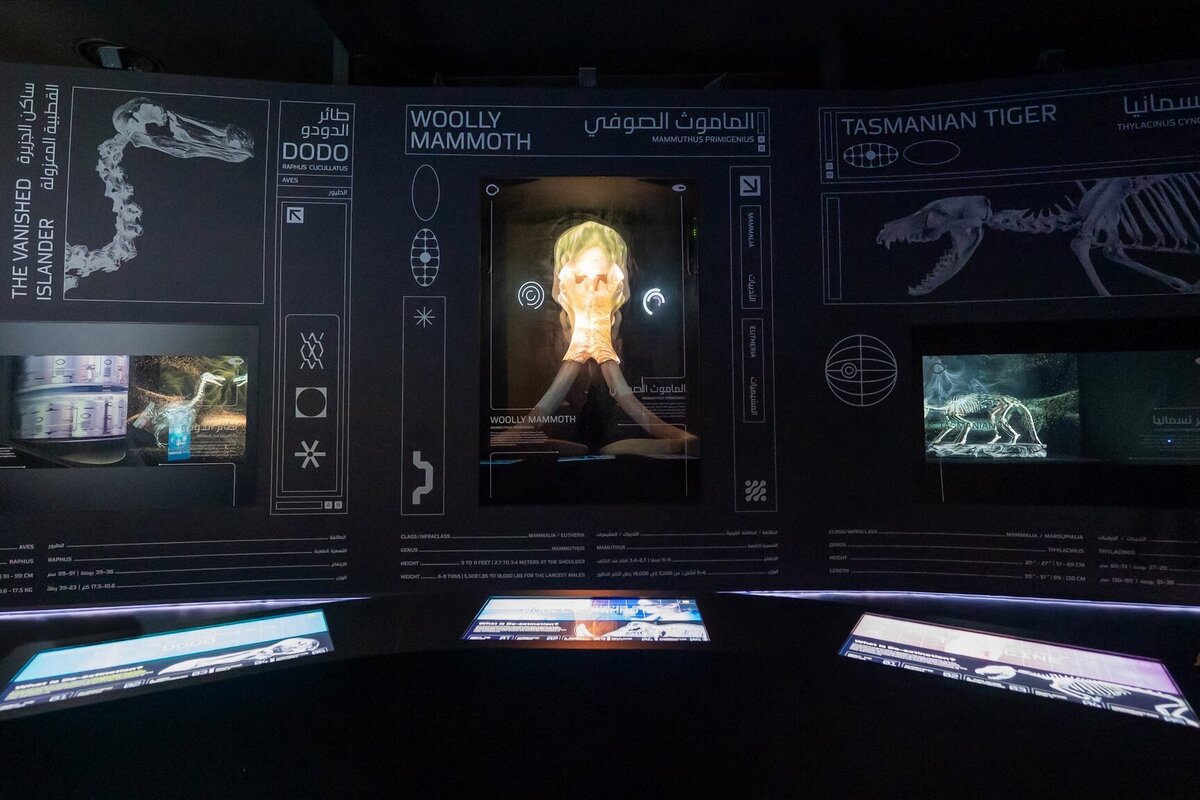 Sheikh Hamdan: Museum of the Future to become permanent home of Life ...