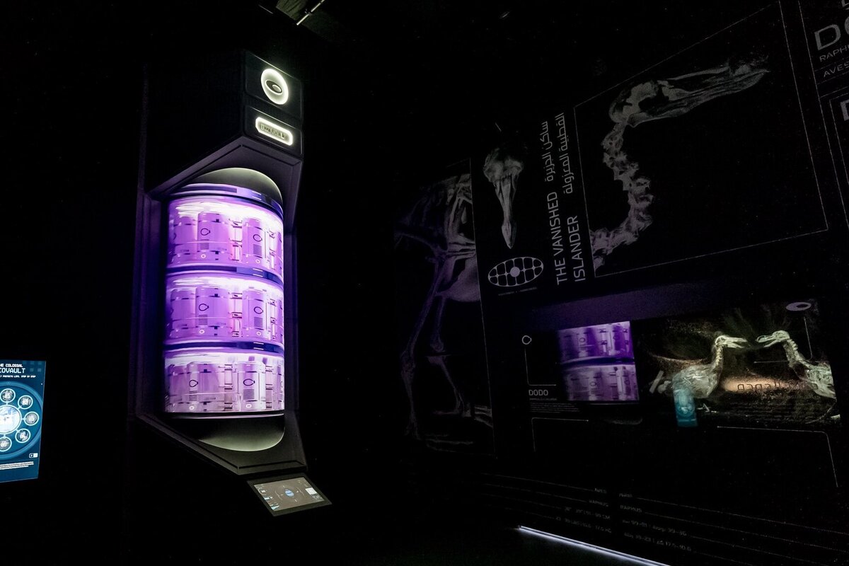 Sheikh Hamdan: Museum of the Future to become permanent home of Life ...