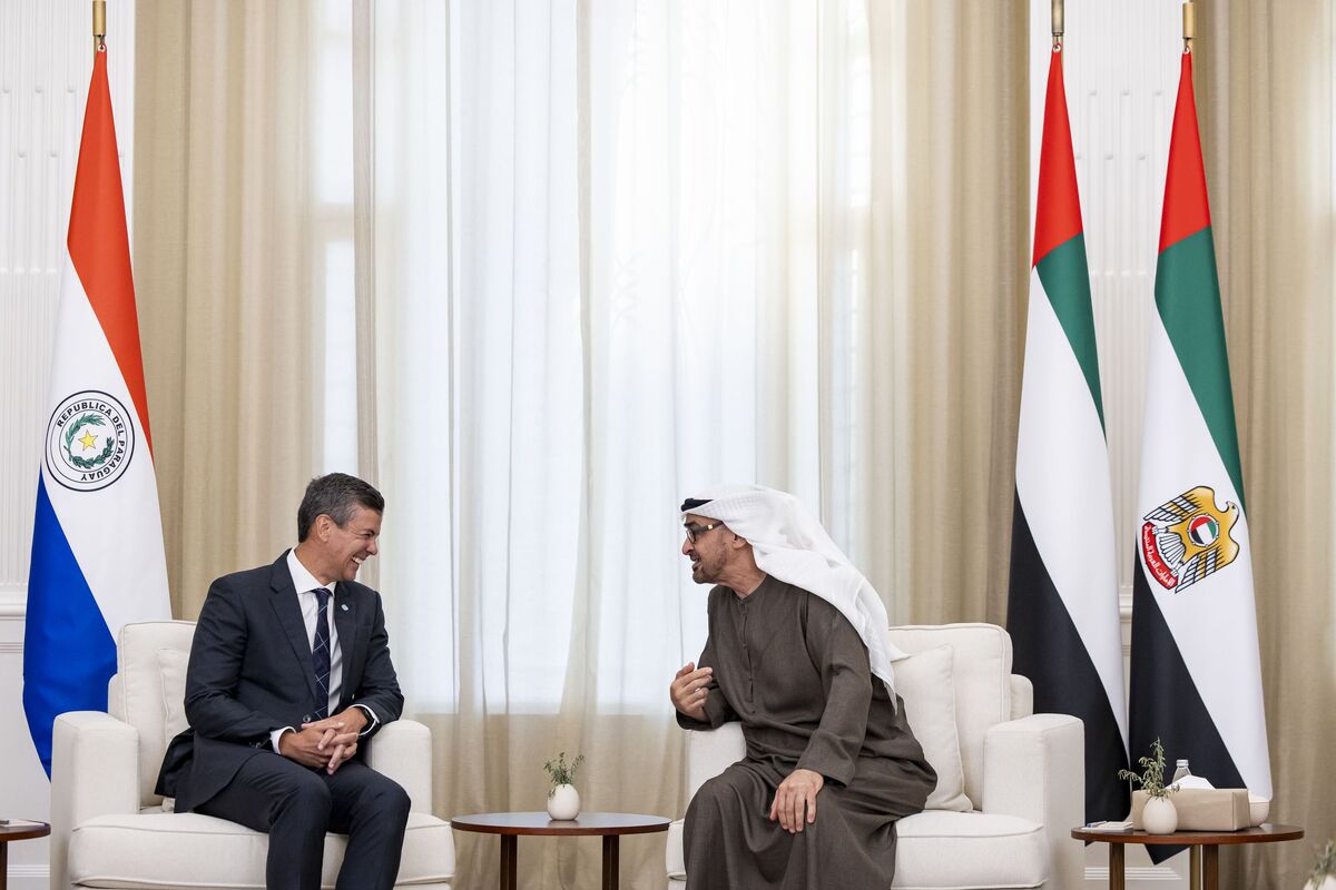 UAE President meets with world leaders participating in WGS 2026