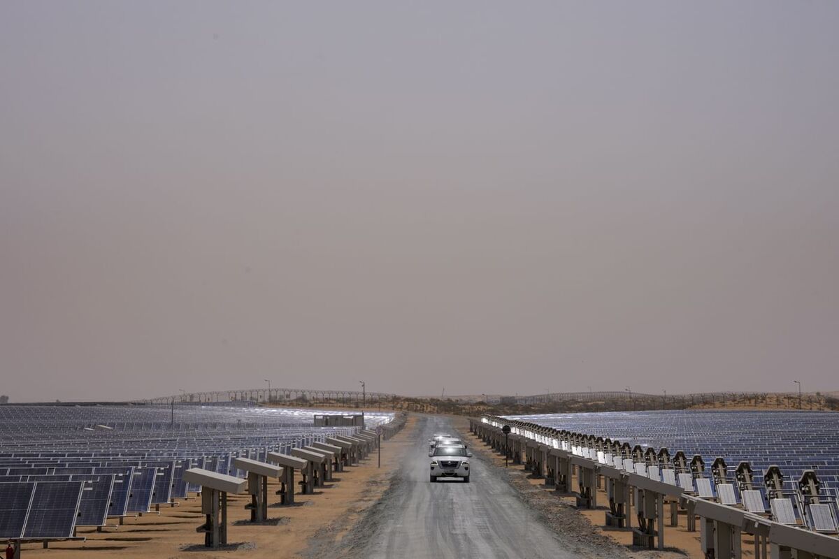 UAE gears up for 29th National Environment Day: Engineering a ...