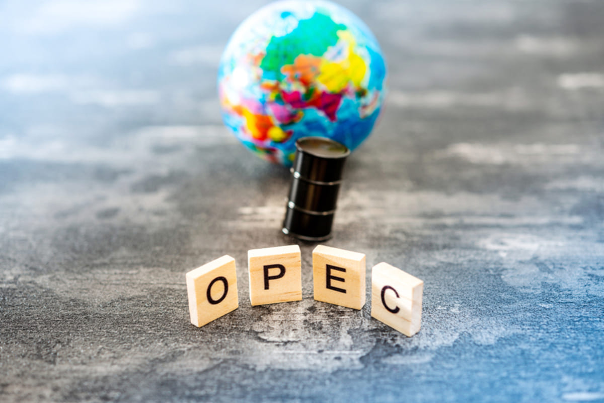 OPEC+ adjusts oil output by 206,000 bpd from May to support global ...