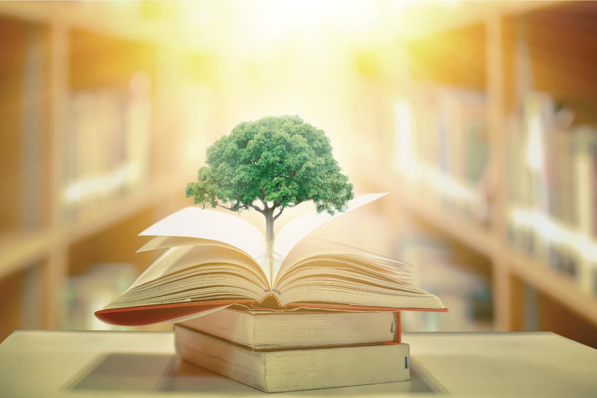 Education for sustainable development competencies: Cultivating future ...