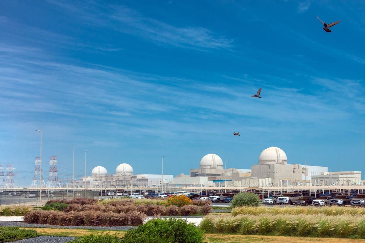 ENEC, ADNOC to explore use of advanced nuclear technologies, excess ...