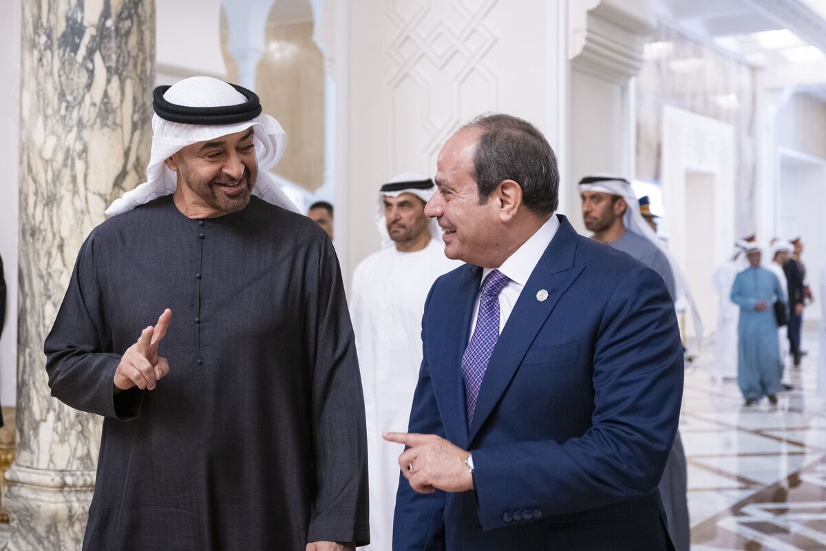 UAE, Egyptian Presidents discuss expanding bilateral cooperation to ...