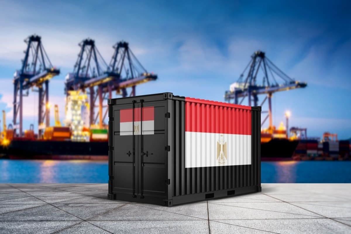 Egypt plans 7 new free zones with $78.9 billion in targeted investments ...